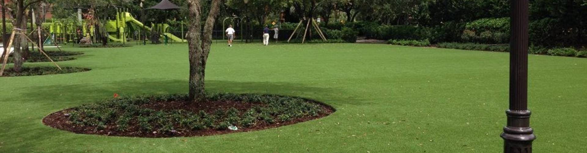 Turf Landscape Science | Southwest Greens of Atlanta
